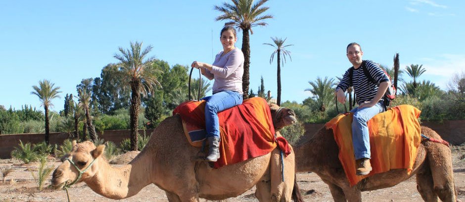 ⇒ The BEST Marrakech Camel Riding Tours【30
